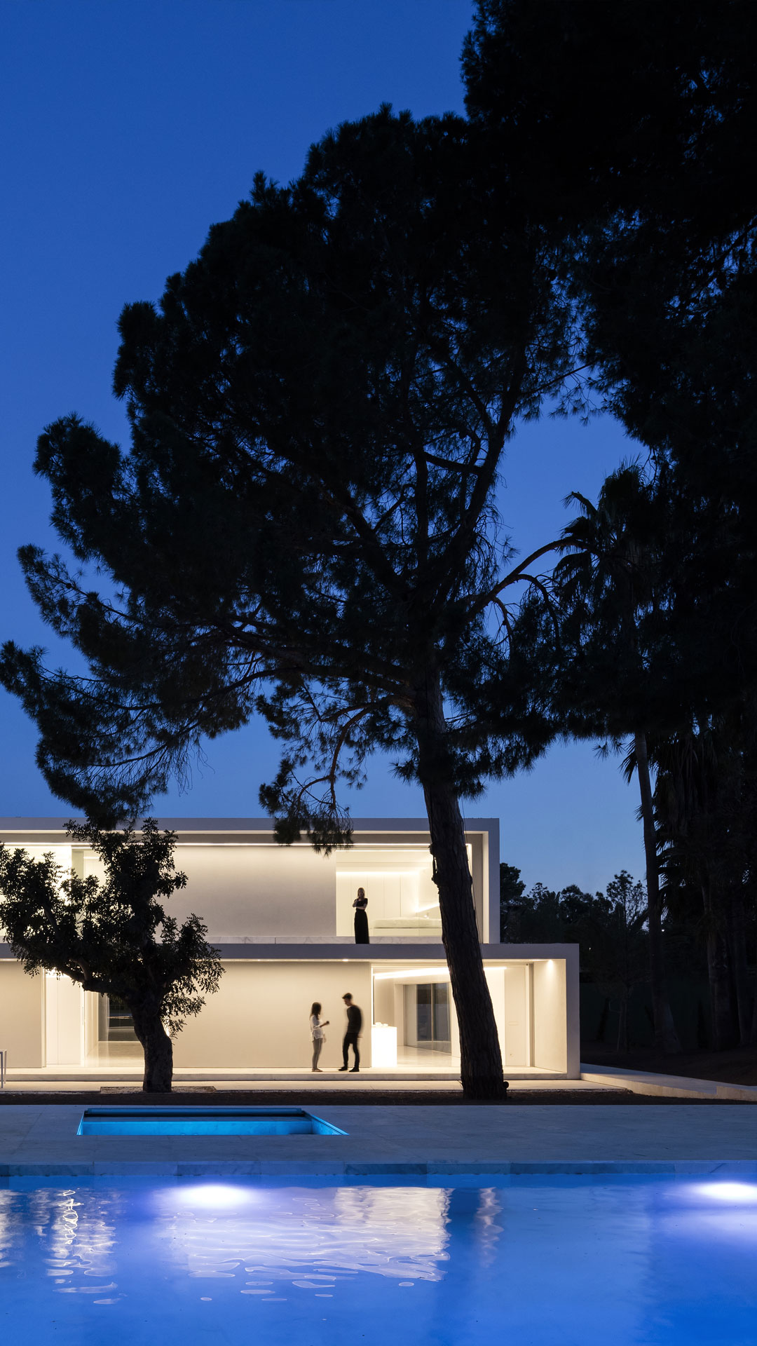 House between the pine forest | Fran Silvestre Arquitectos™